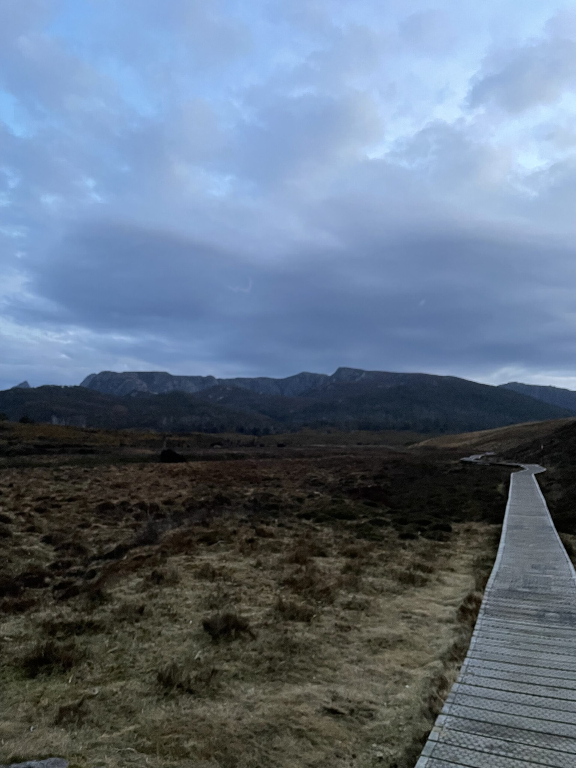 【タスマニア】クレイドルマウンテンの国立公園に行ってみた【オーストラリア】 | NoRegretLife